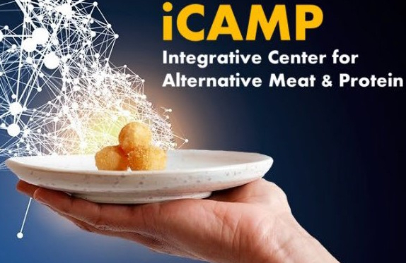 Ingredients for the Food-ture: UC Davis Cooks Up Innovation - UC Davis ...